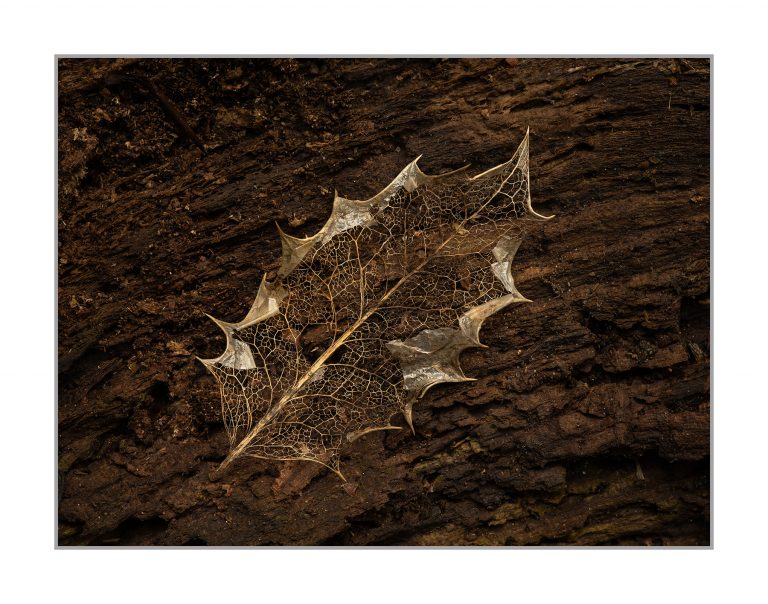 Gallery - Simon Booth Photography