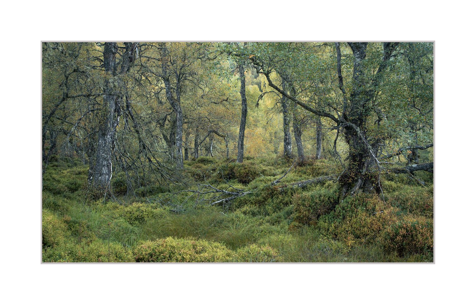 Gallery - Simon Booth Photography